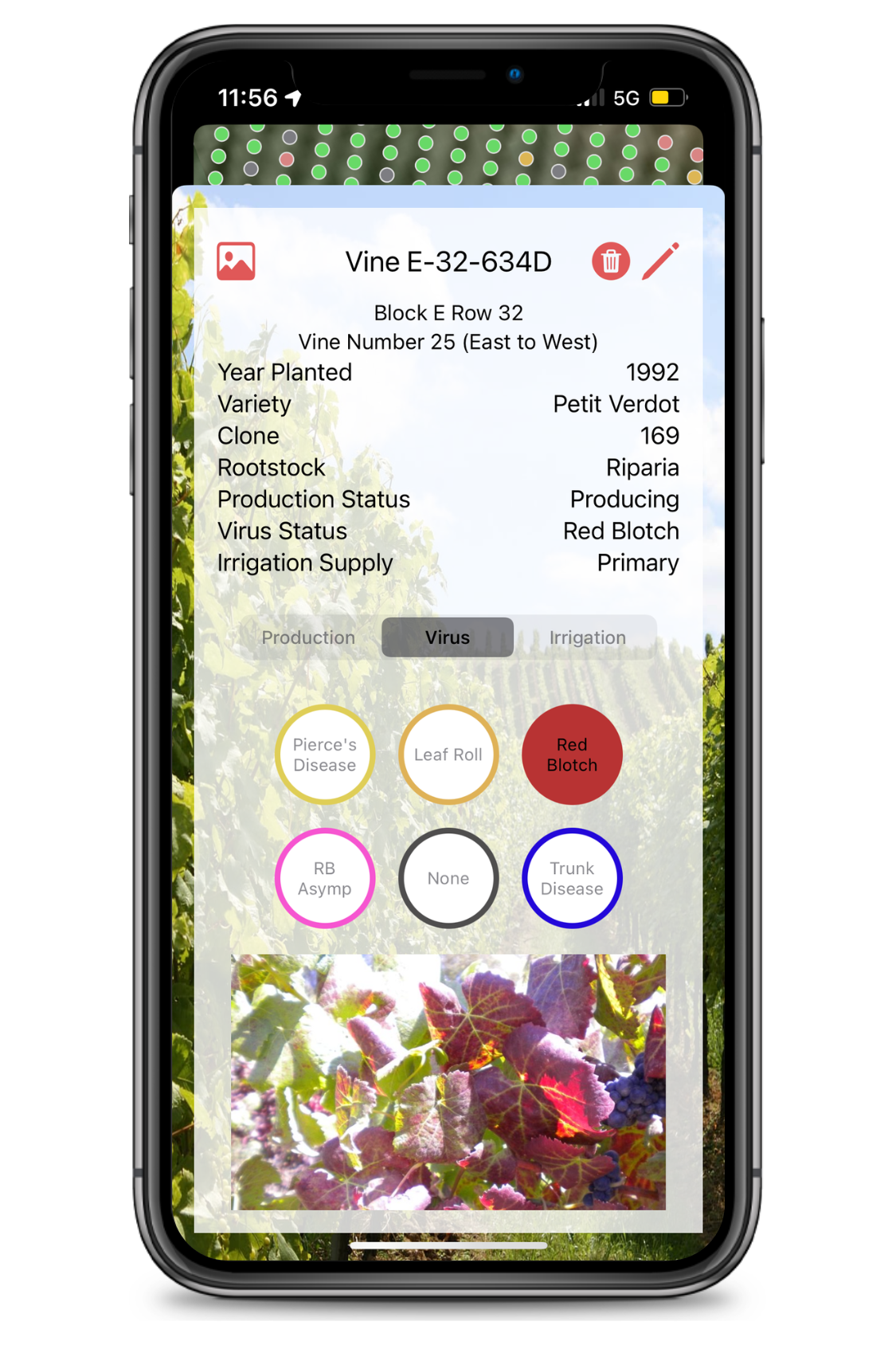 Laboratory Sample Labels